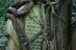 The Ghosts of Highgate Cemetery | Haunted Rooms®